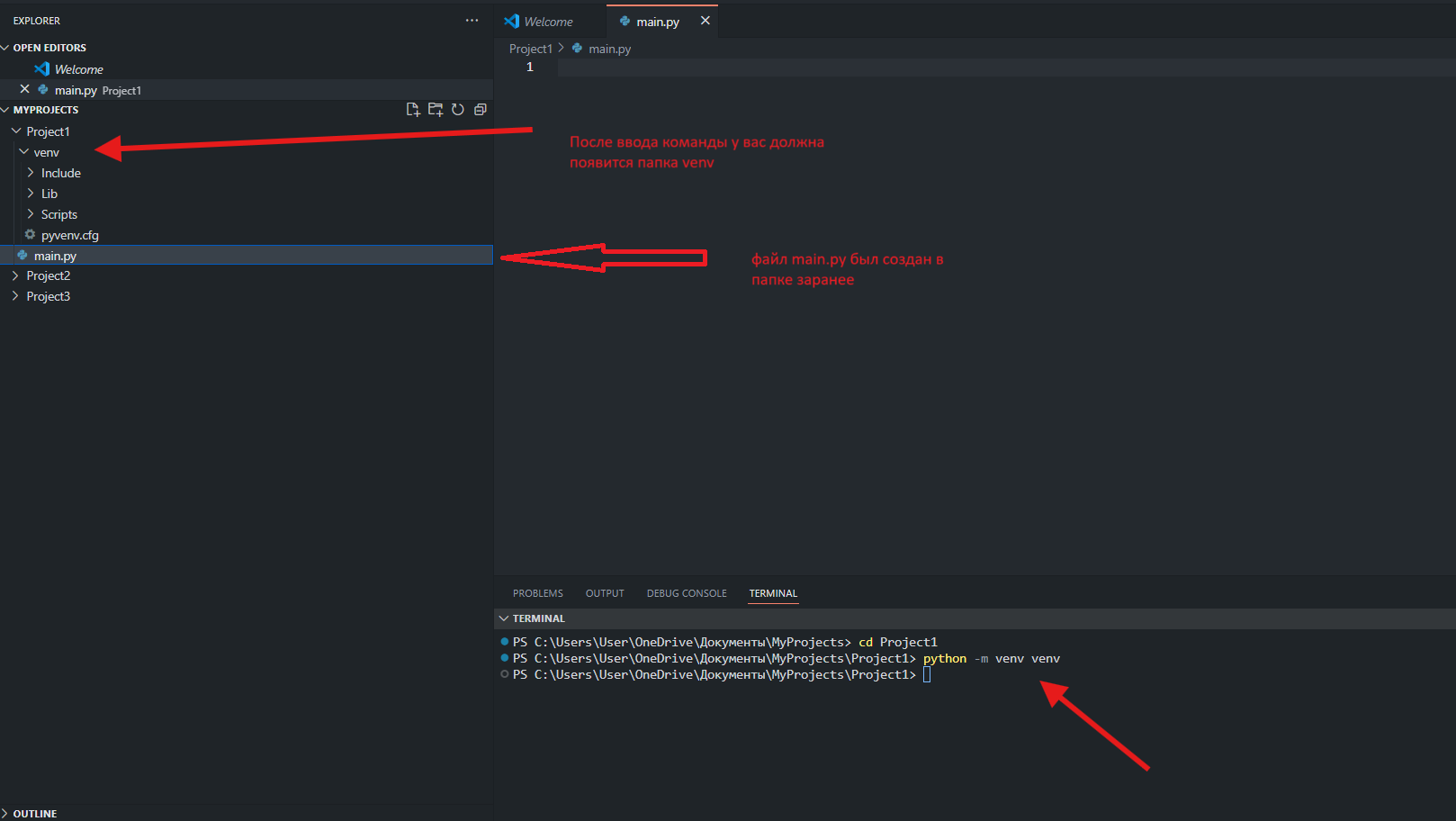 Виртуальное окружение venv в Python